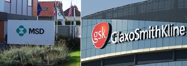 HPV백신 MSD-GSK ‘양강 시장’…후발주자 경쟁도 치열